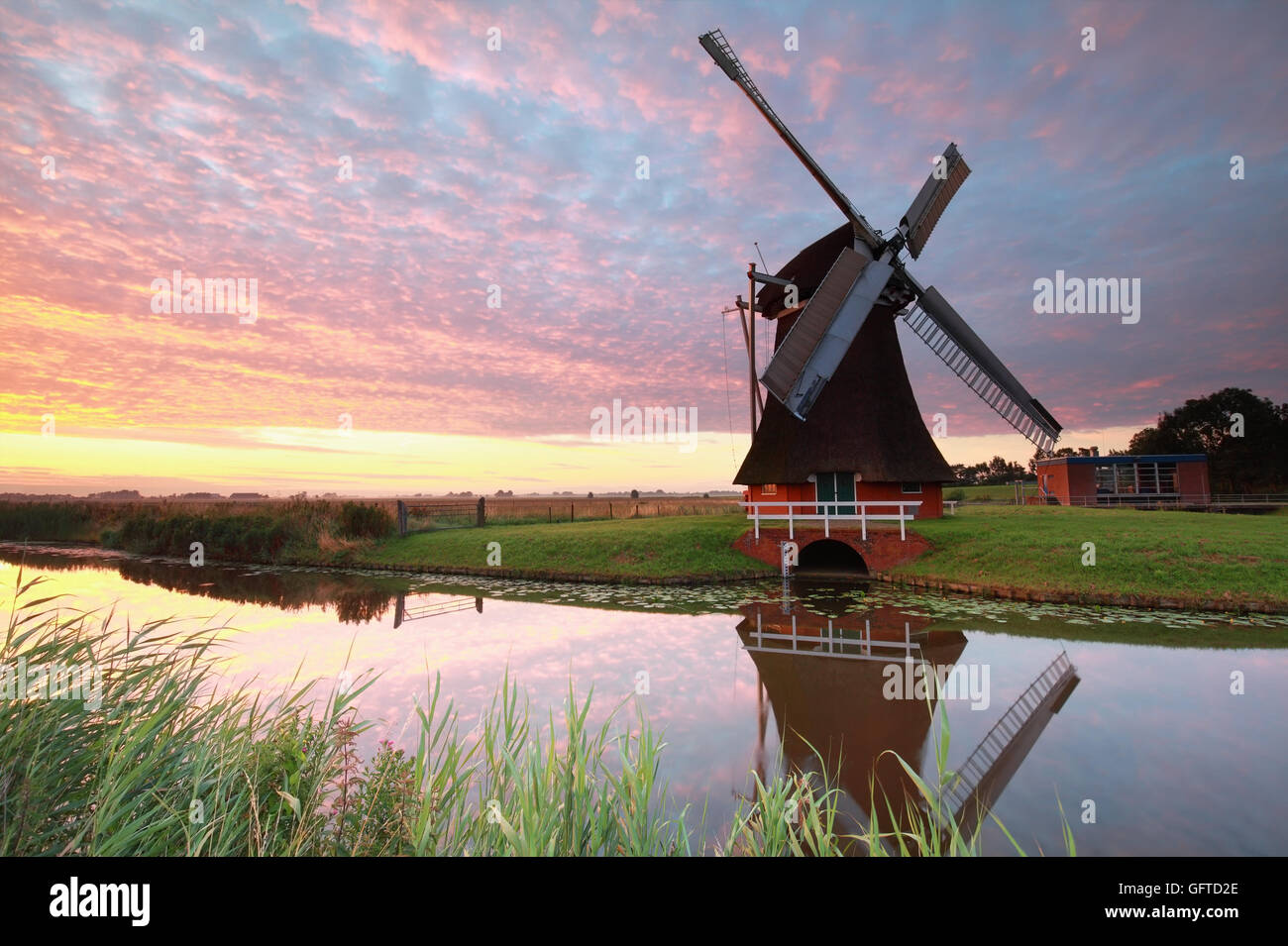 Purple windmill hi-res stock photography and images - Alamy