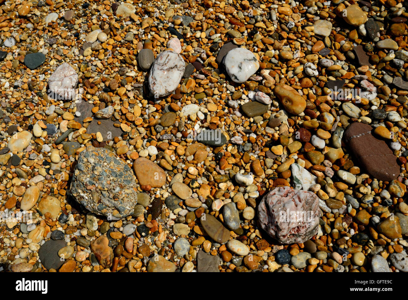 Stones on a beach Stock Photo - Alamy
