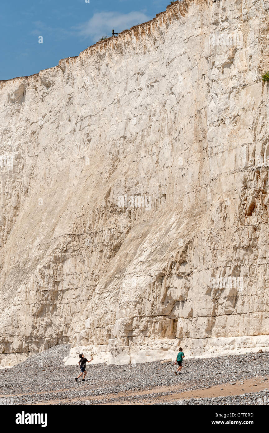 The chalk cliffs at Birling Gap Stock Photo - Alamy