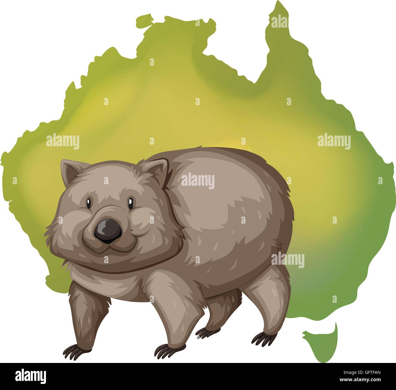 Wombat and Australia map illustration Stock Vector Image & Art - Alamy