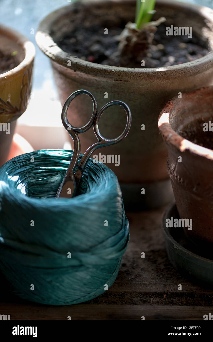 Plastic rope for gardening Stock Photo - Alamy