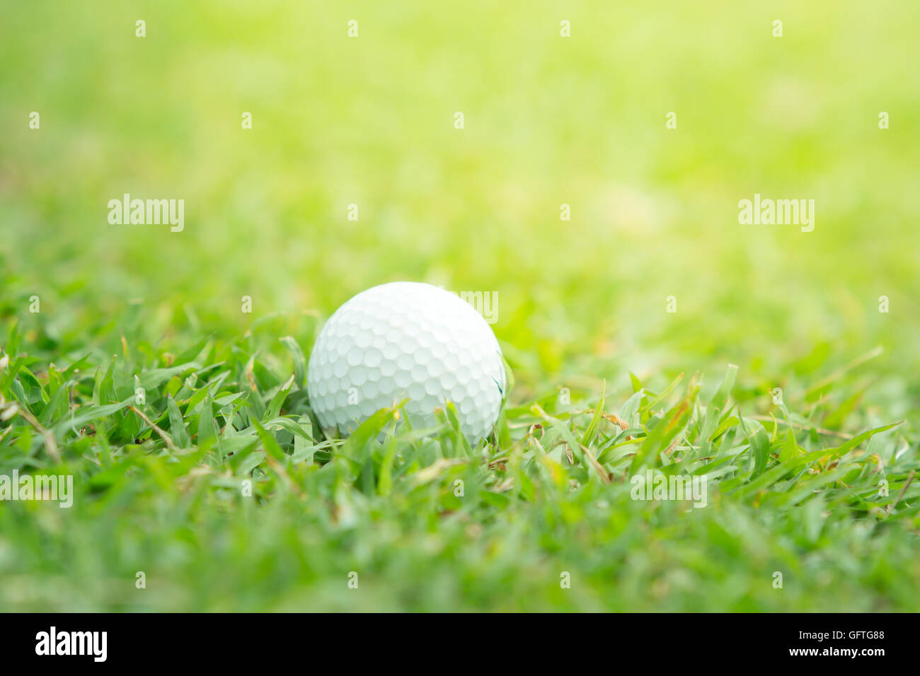 Close up of golf ball on tee Stock Photo - Alamy