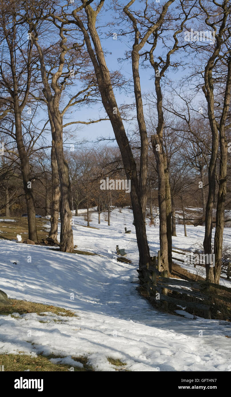 Ontario winter hi-res stock photography and images - Alamy