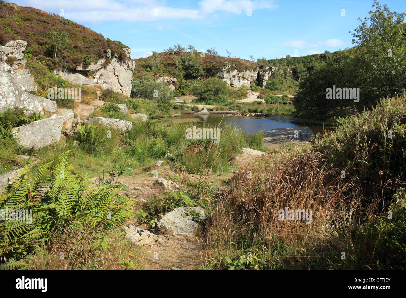 Haytor disused granite quarry, Dartmoor National Park, Devon, England ...