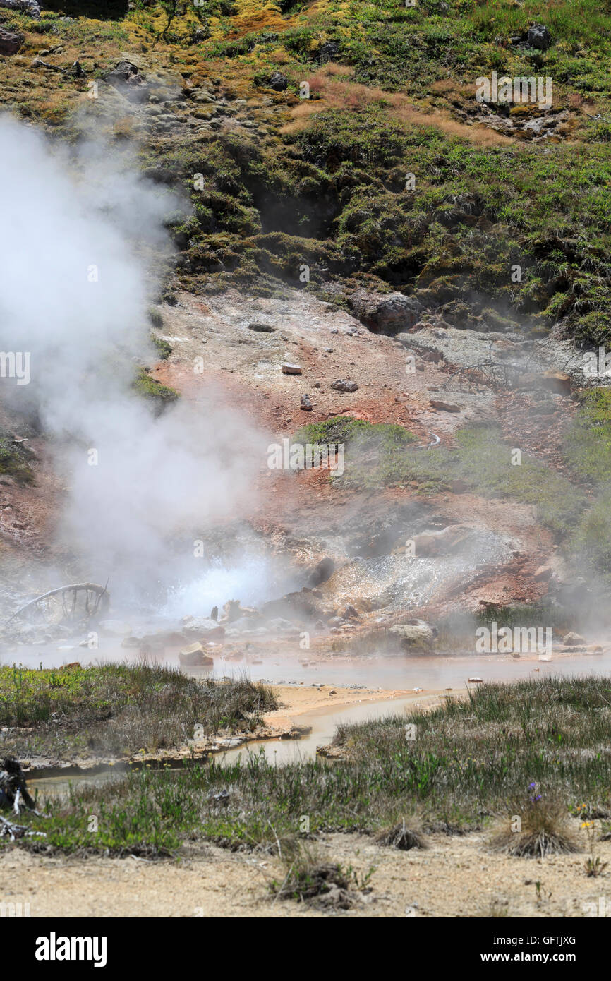 Blood Geyser, Artists Paintpots, Yellowstone National Park Stock Photo ...