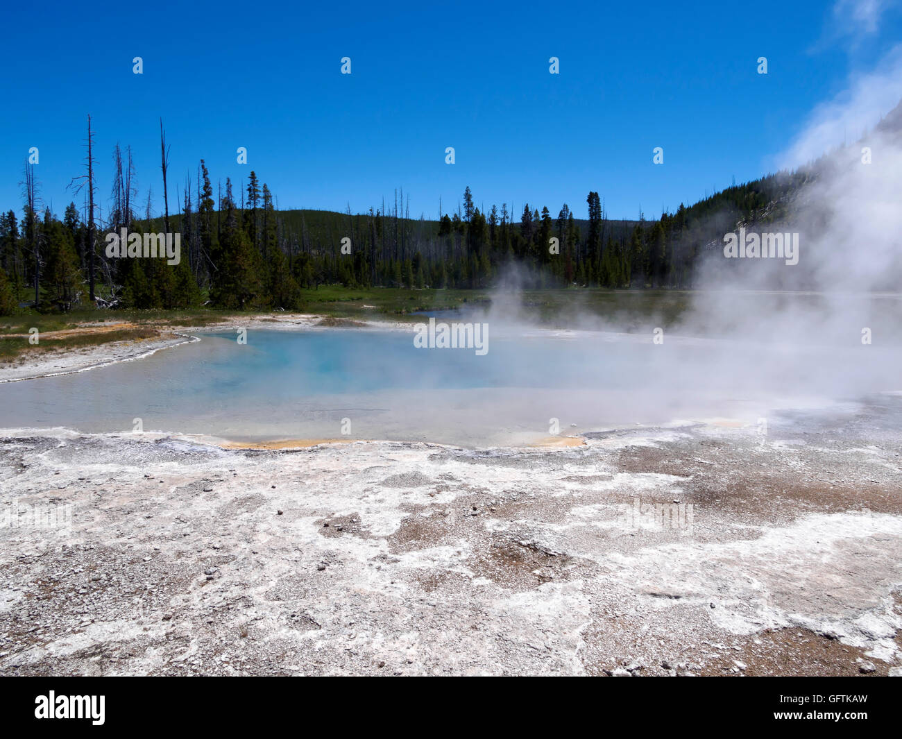 Green Spring, Black Sand Basin, Yellowstone National Park Stock Photo ...