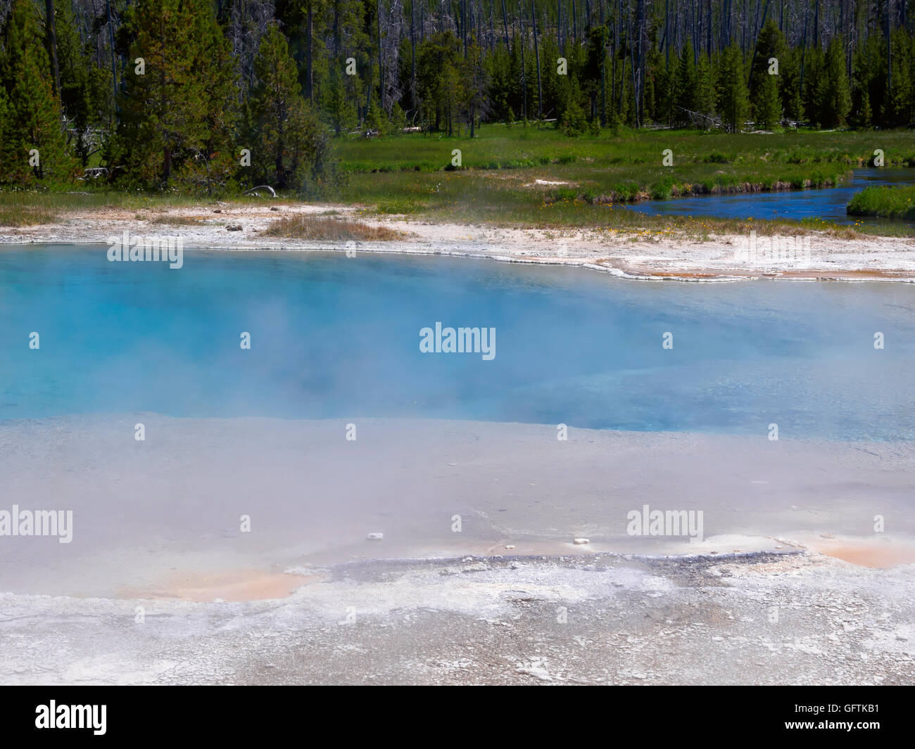 Green Spring, Black Sand Basin, Yellowstone National Park Stock Photo ...