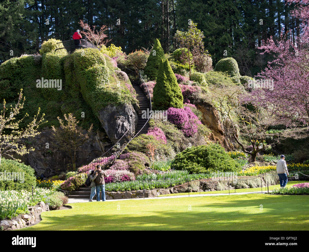 Butchart Gardens in spring, the Sunken Garden Stock Photo - Alamy