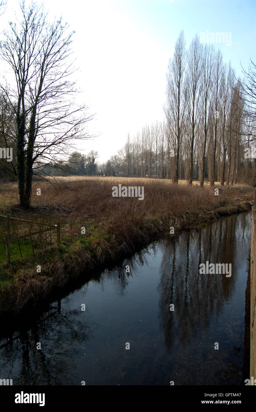 River Wey running through Gostry Meadow in Farnham, Surrey, England ...