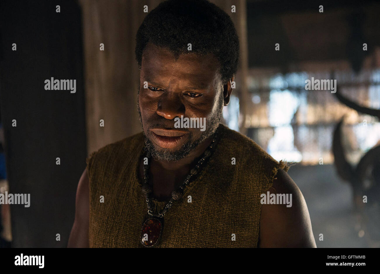 Sam Hazeldine The Raven