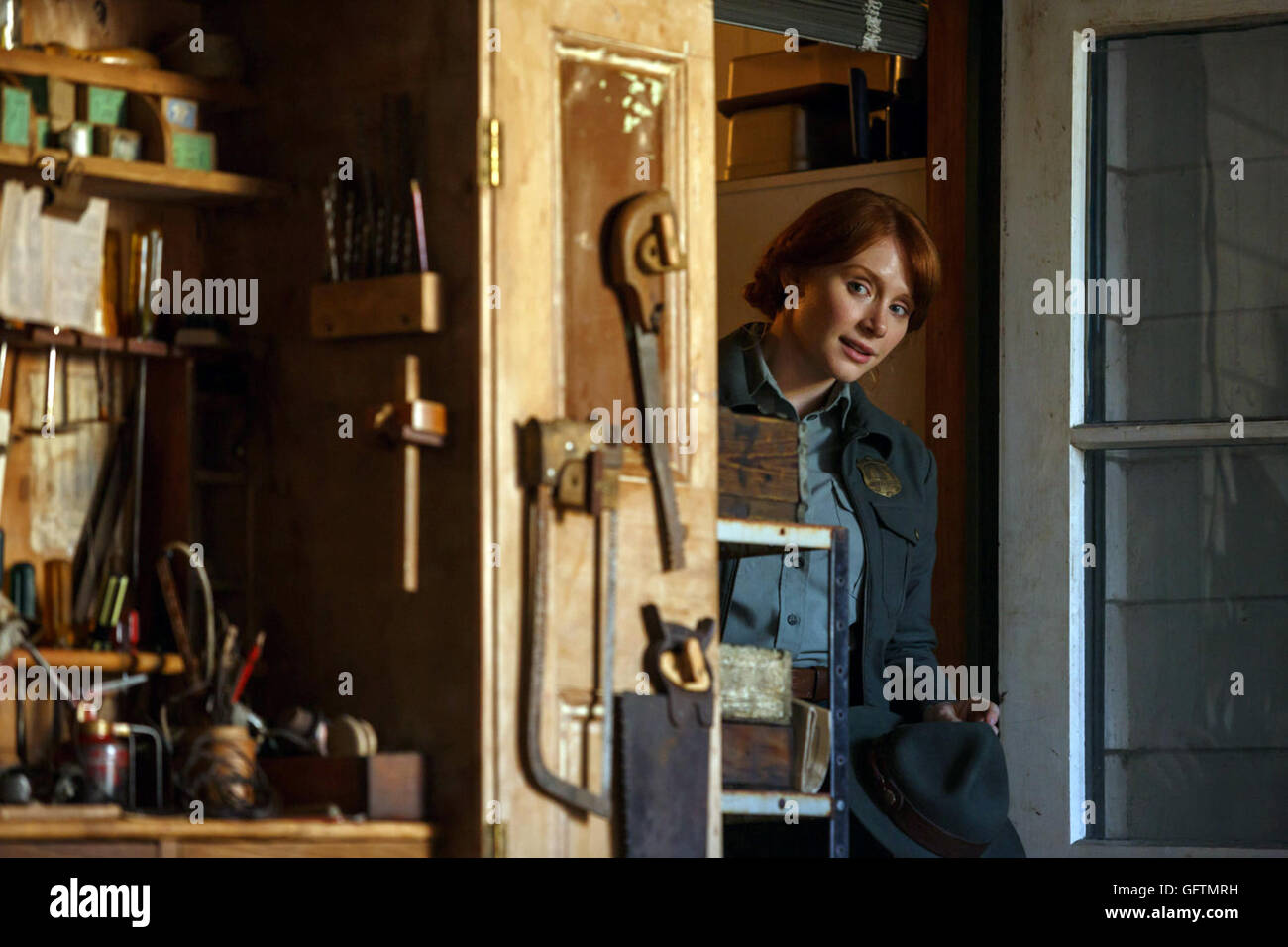 Pete's Dragon is an upcoming American fantasy adventure film directed ...