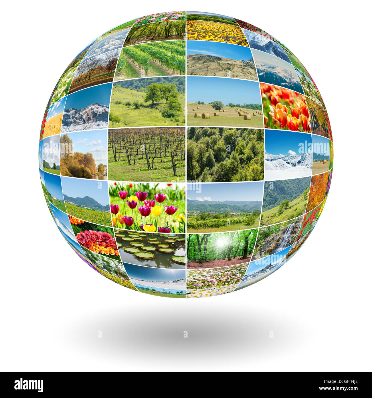 Collection of nature photos in collage concept Stock Photo - Alamy