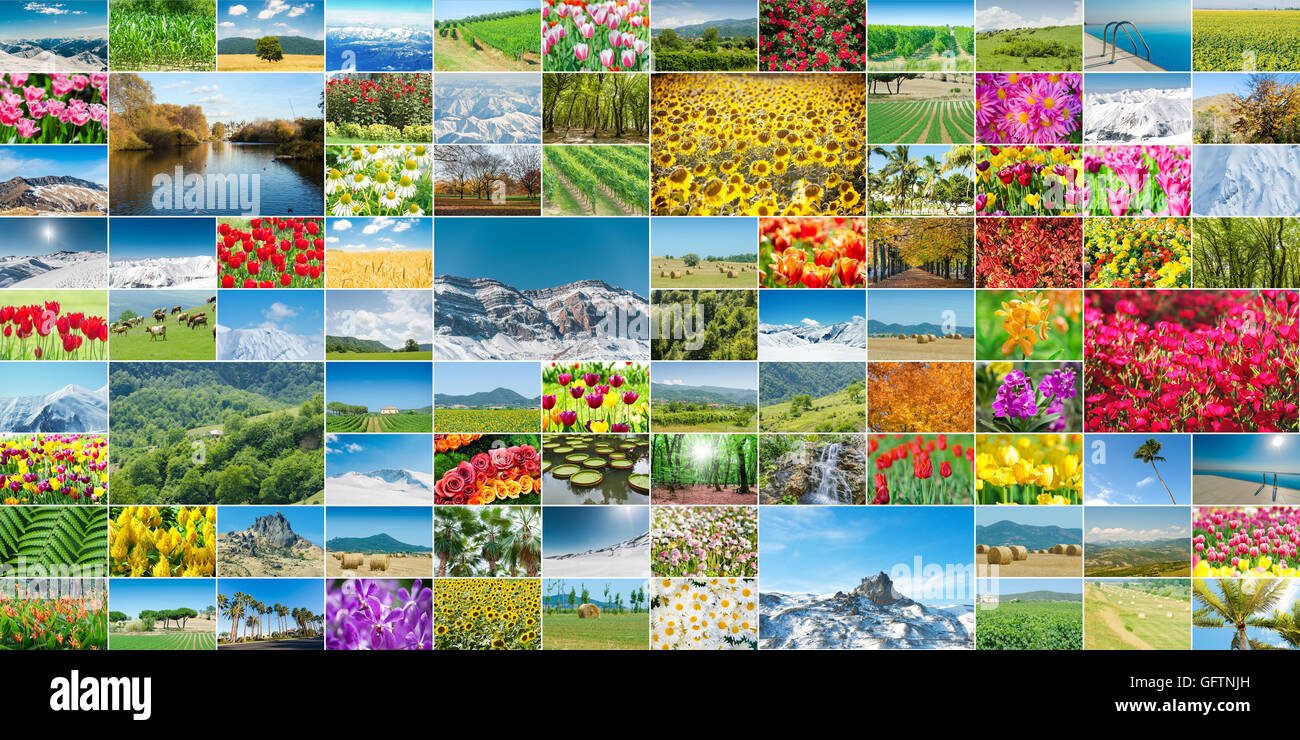 Collage of many nature photos Stock Photo - Alamy