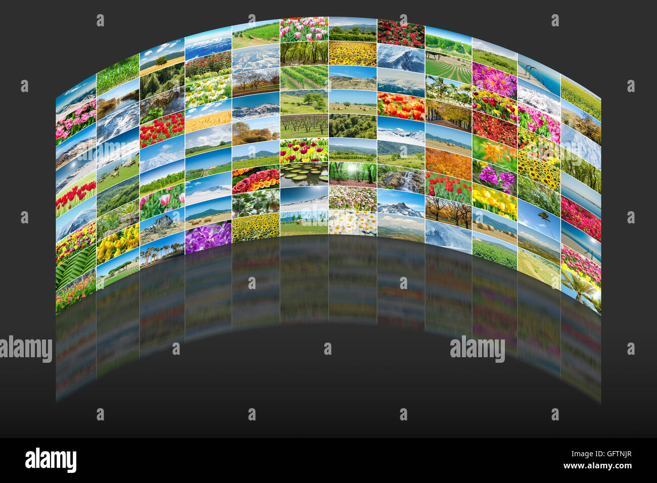 Collage of many nature photos Stock Photo - Alamy