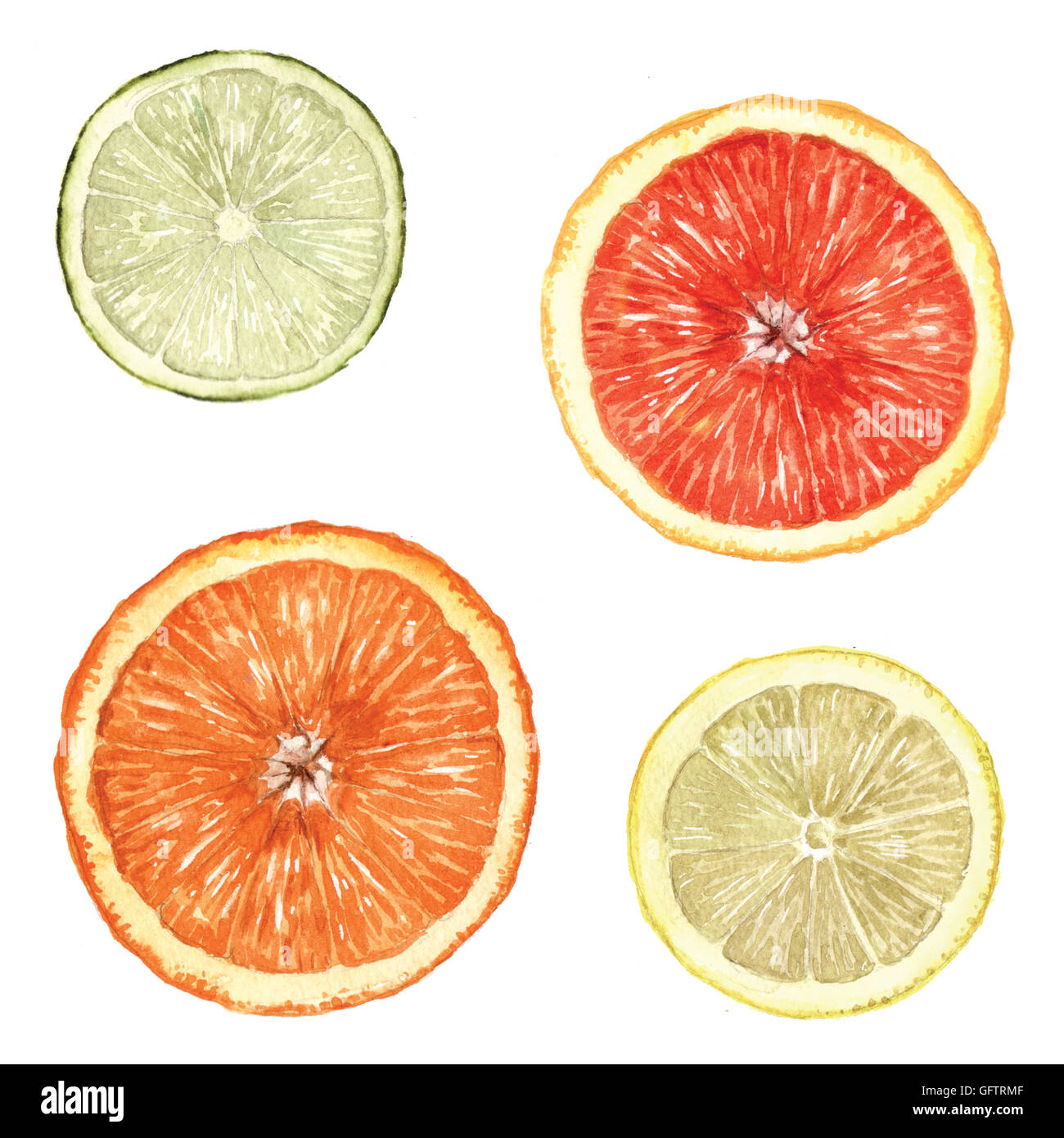Lemon fruits slices hand Cut Out Stock Images & Pictures - Alamy