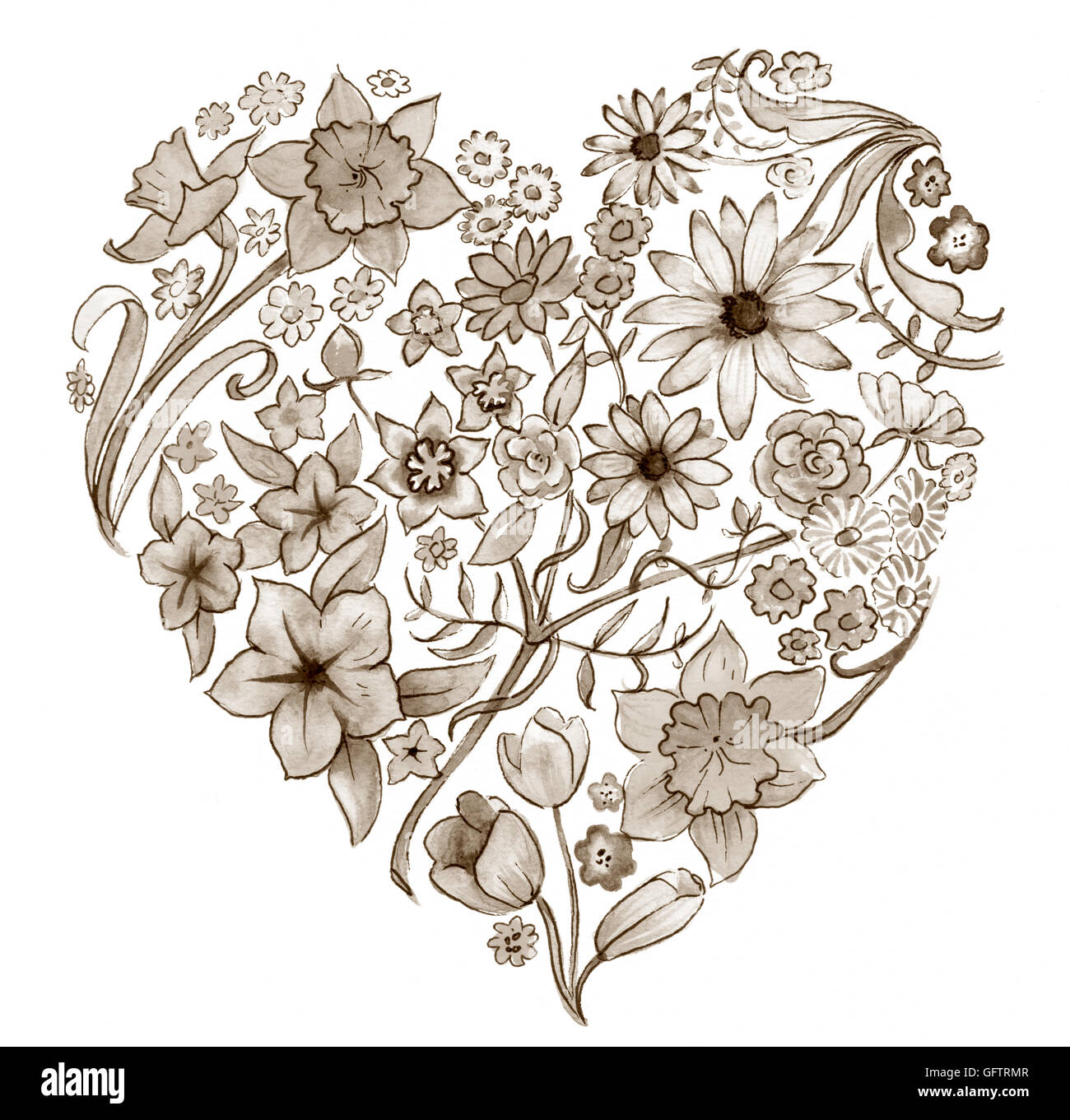 Hand painted, sepia flower heart Stock Photo - Alamy