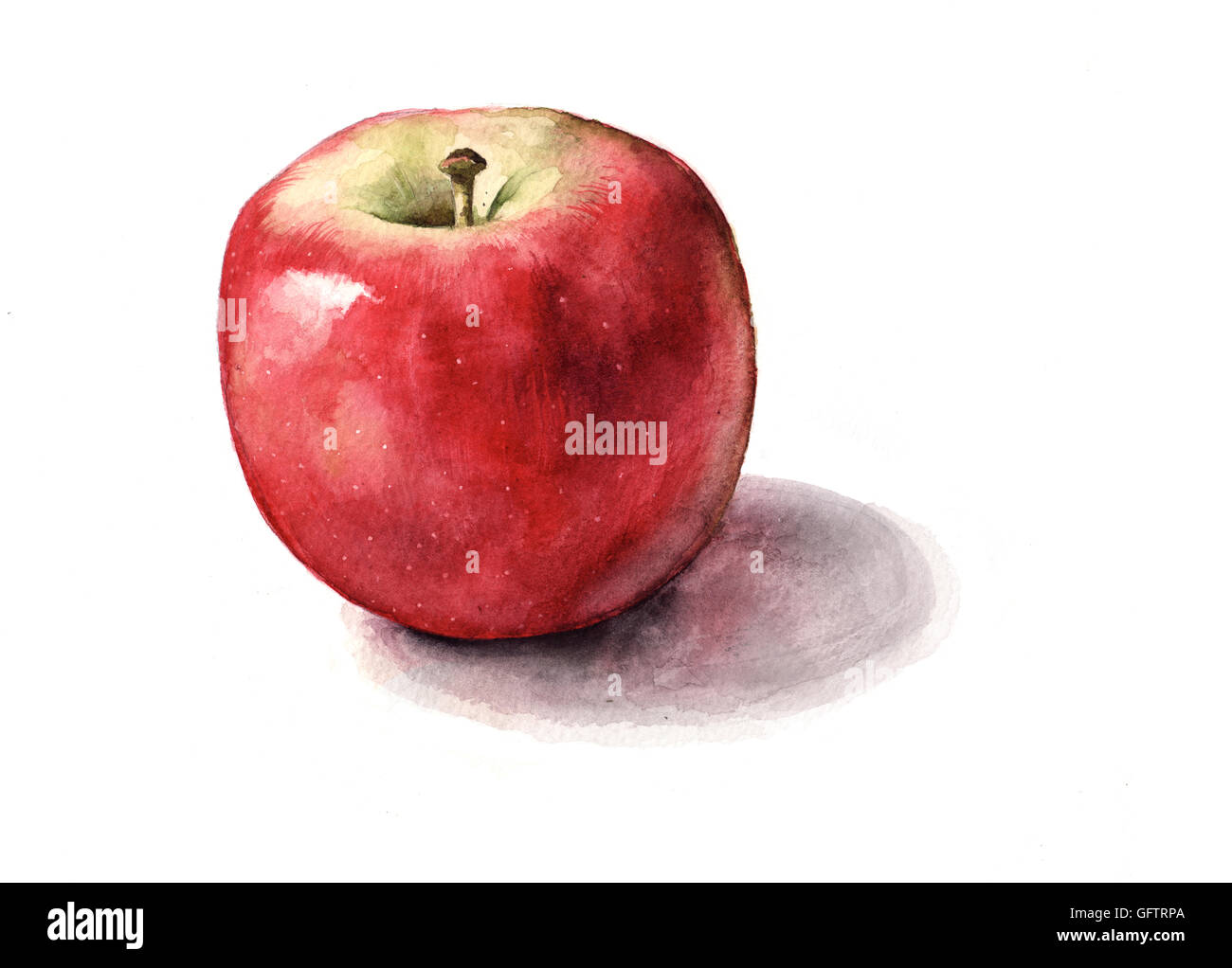 Hand painted, watercolor red apple Stock Photo - Alamy