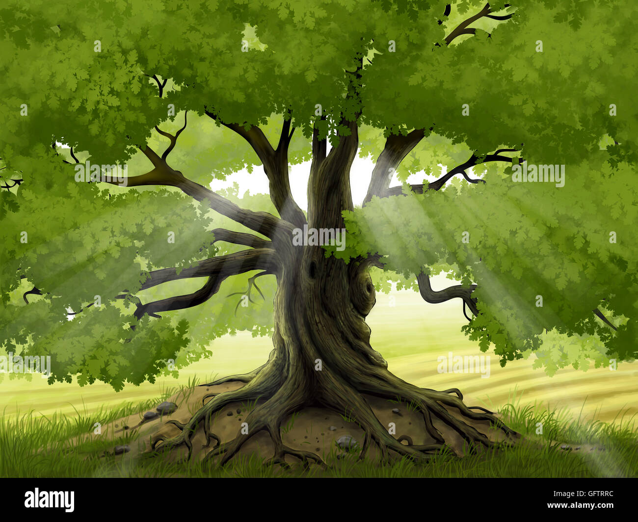 Digital illustration of bushy, old oak tree with sun rays beaming ...
