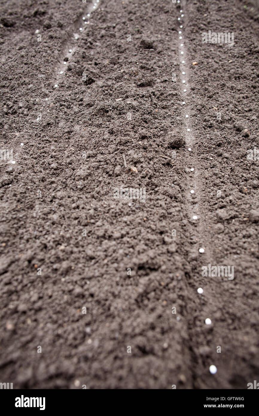 Sowing seed hi-res stock photography and images - Alamy