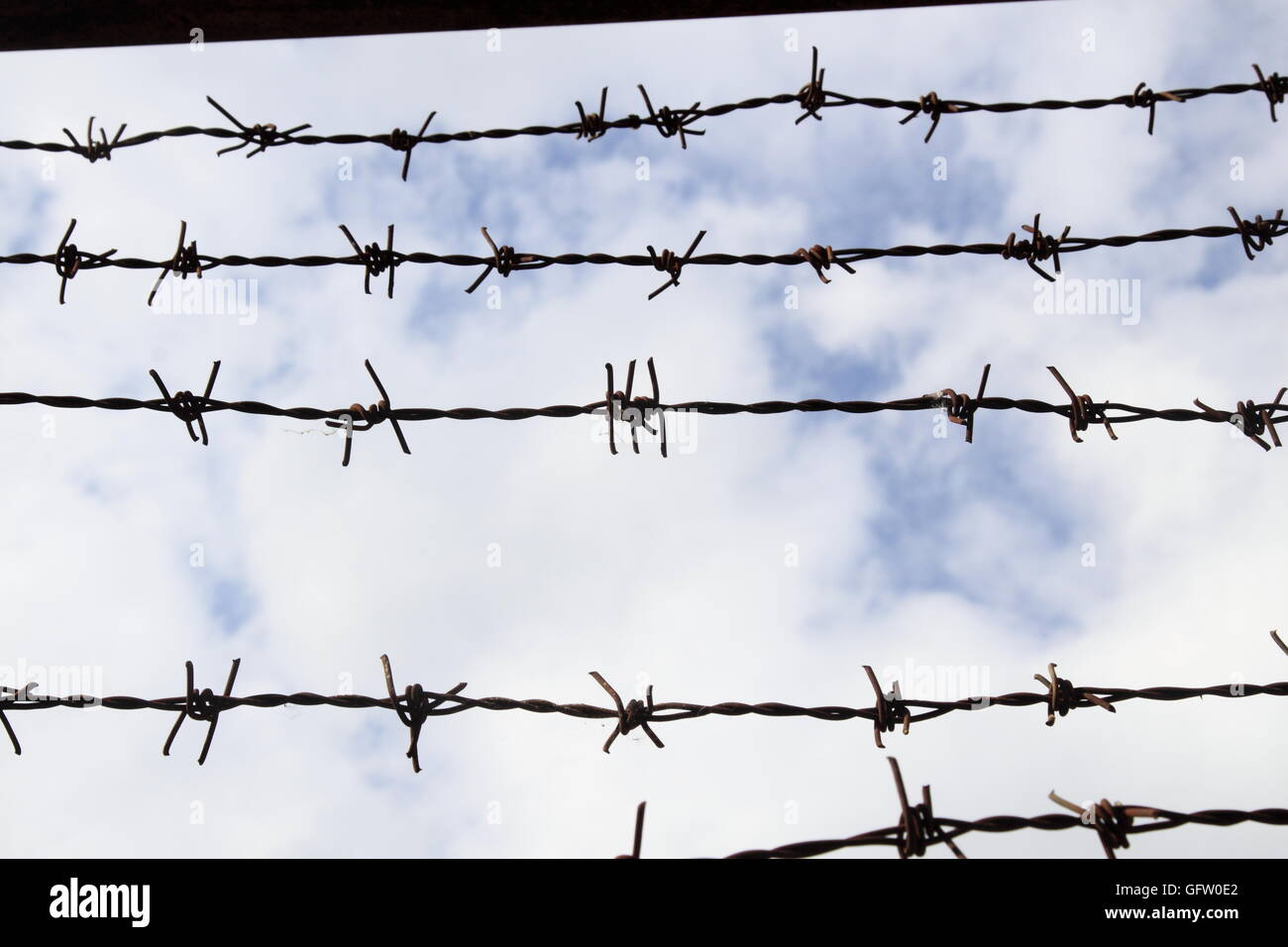 vector of barb wires Stock Photo - Alamy