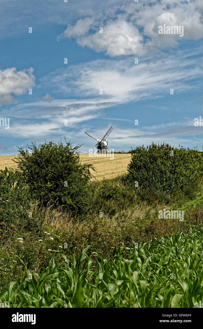 Wilton Windmill with sweet corn crop in foreground Stock Photo - Alamy