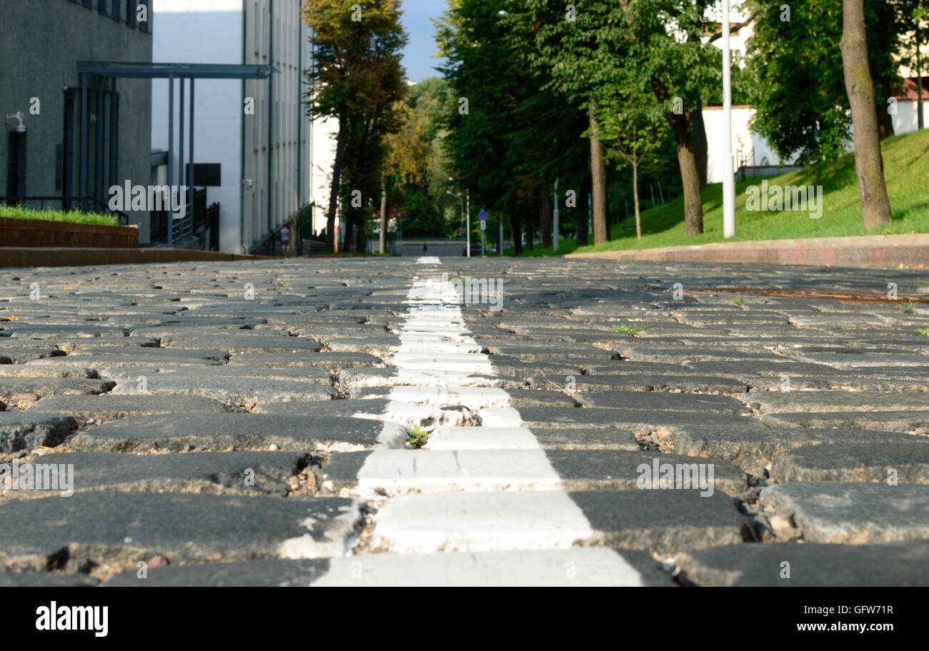 Paving stone road closeup. Green grass and trees at sides. Traffic line ...