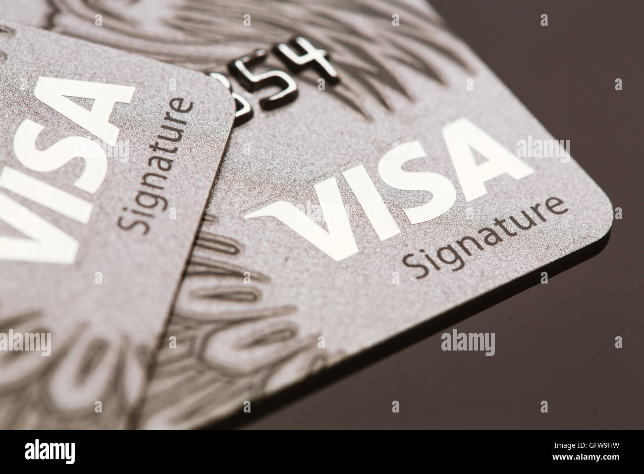 Visa Signature Us Logo