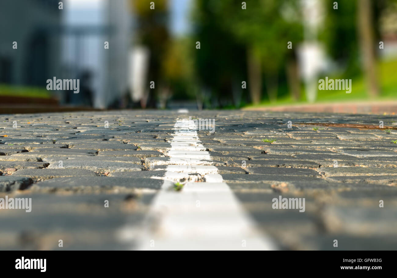 Tilt-shift paving stone road closeup. Green grass and trees at sides ...