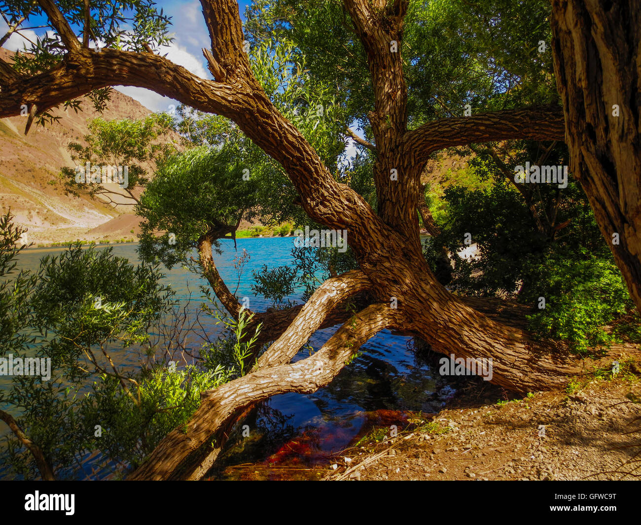 Gahar iran hi-res stock photography and images - Alamy