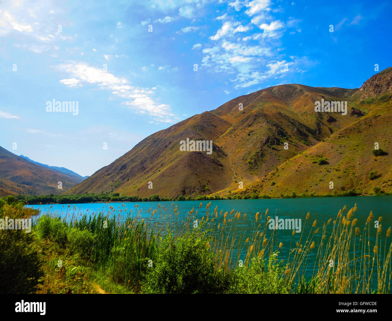 Gahar hi-res stock photography and images - Alamy