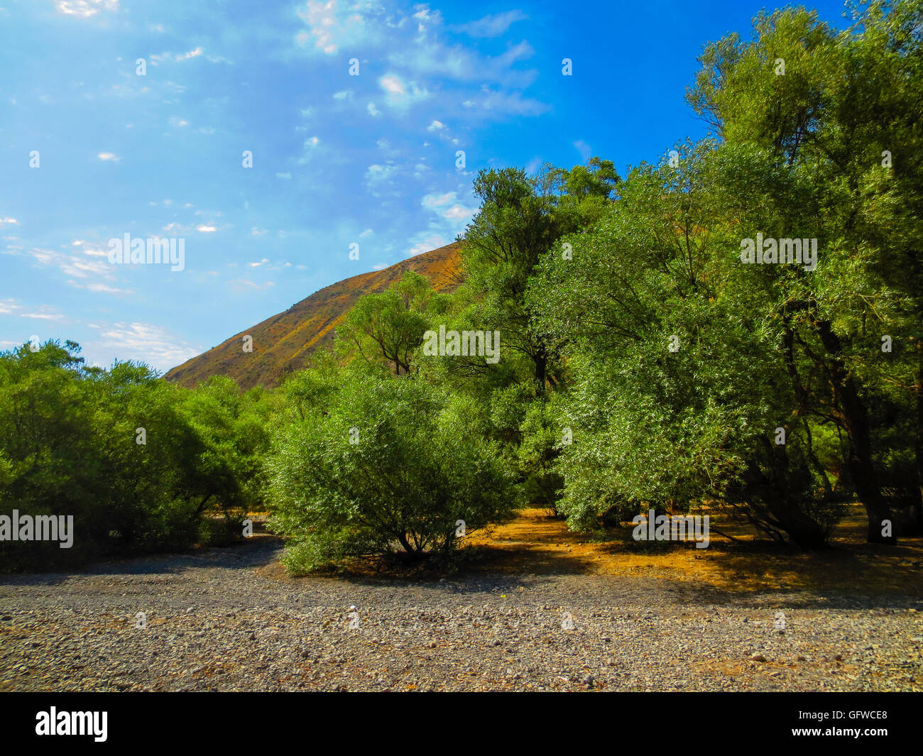 Gahar hi-res stock photography and images - Alamy