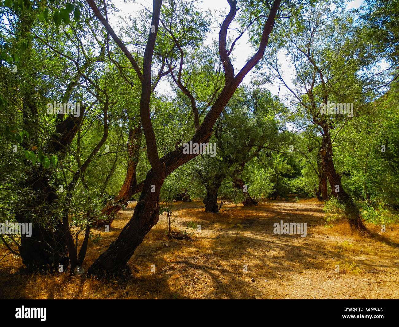 Gahar lake hi-res stock photography and images - Alamy