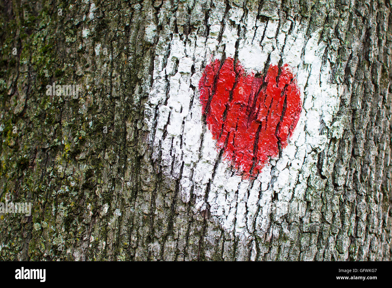 Heart symbol tree circle hi-res stock photography and images - Alamy