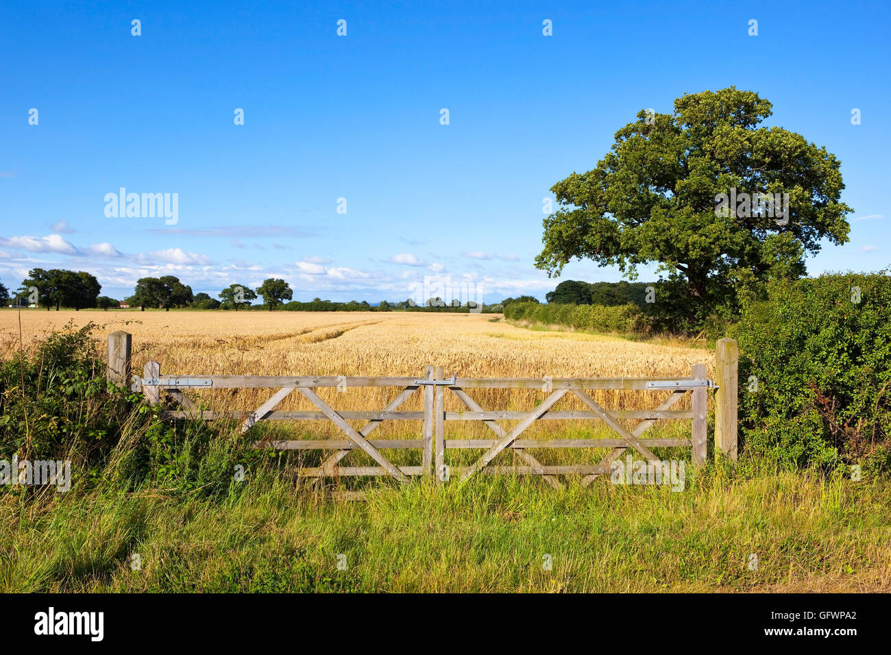 Oak gates hi-res stock photography and images - Alamy