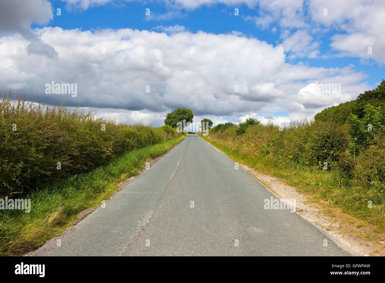 A small country road with hawthorn hedgerows on the Yorkshire wolds ...