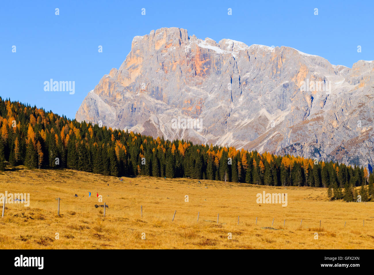 Autumn landscape from italian Alps. Yellow trees. Beautiful dolomites ...