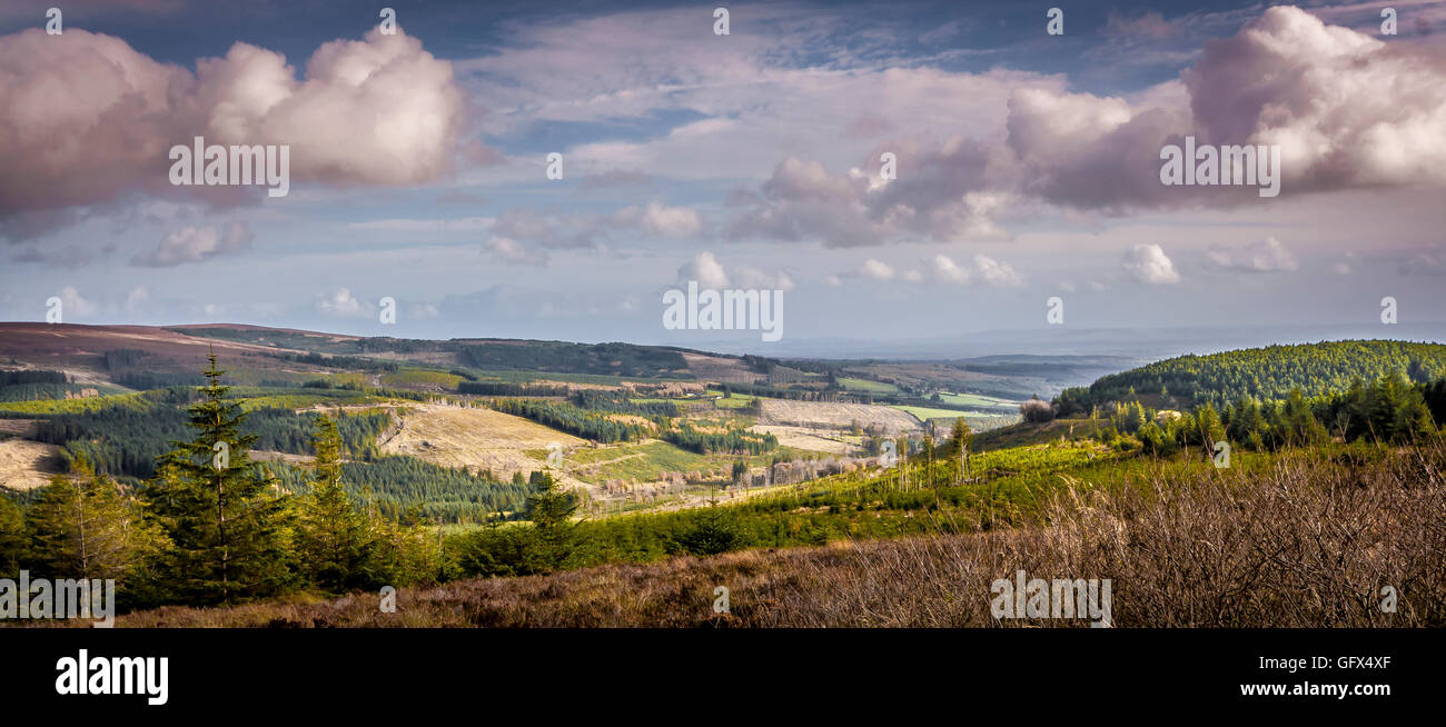 Slieve bloom way hi-res stock photography and images - Alamy