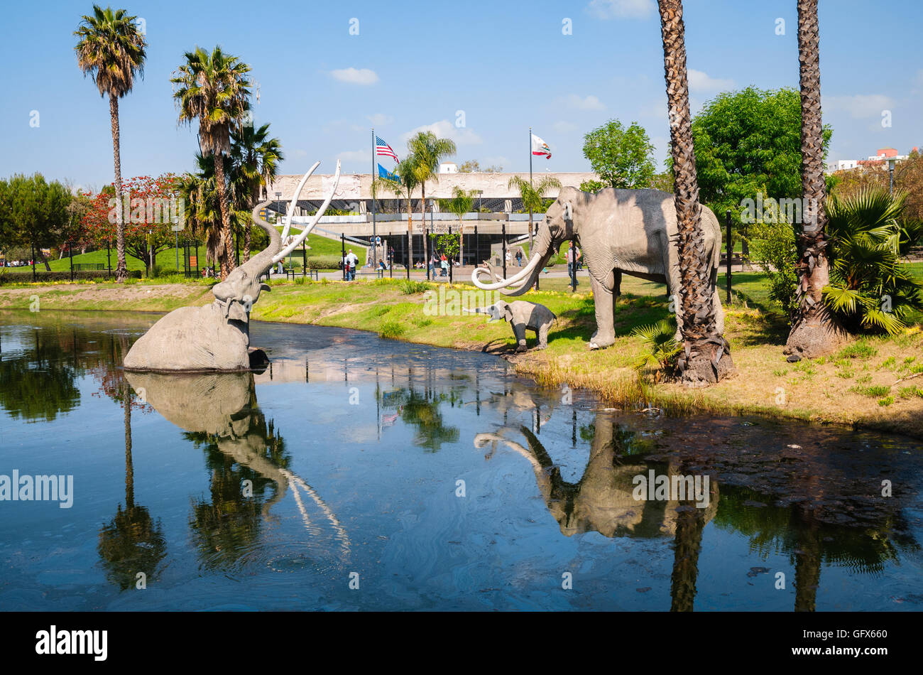 The la brea tar pits hi-res stock photography and images - Alamy