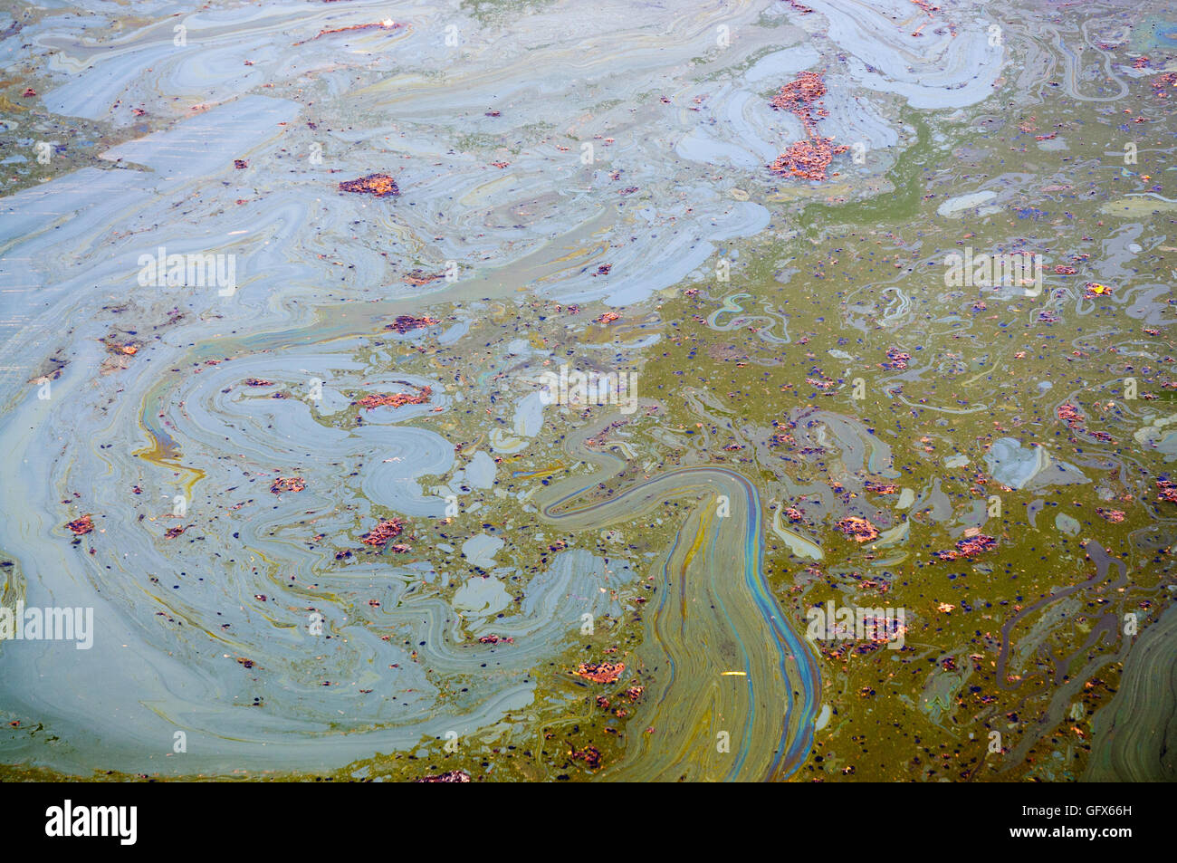 La Brea Tar Pits Stock Photo Alamy