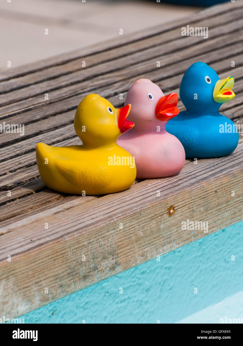 Three blue ducks hi-res stock photography and images - Alamy