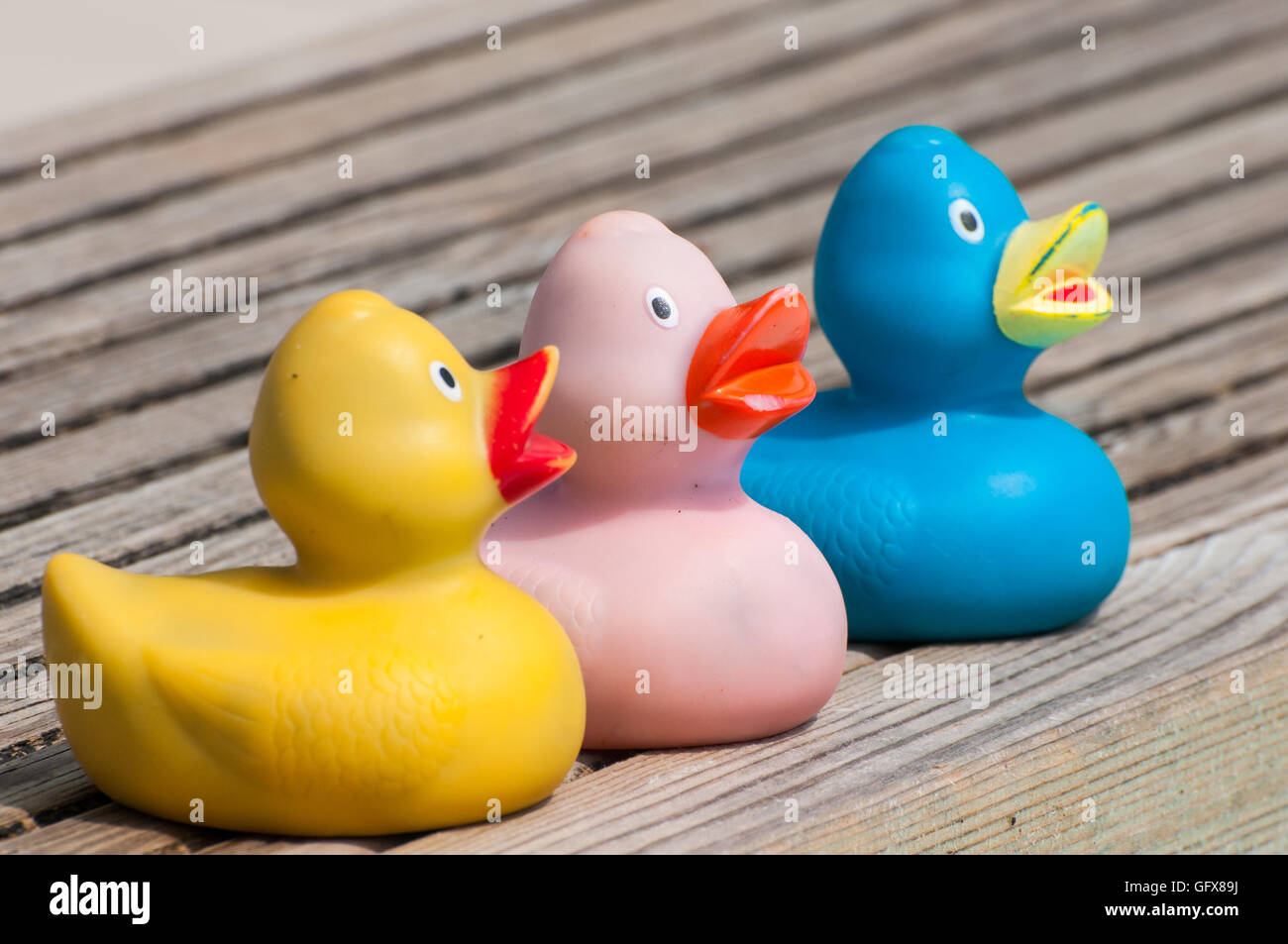 Three blue ducks hi-res stock photography and images - Alamy