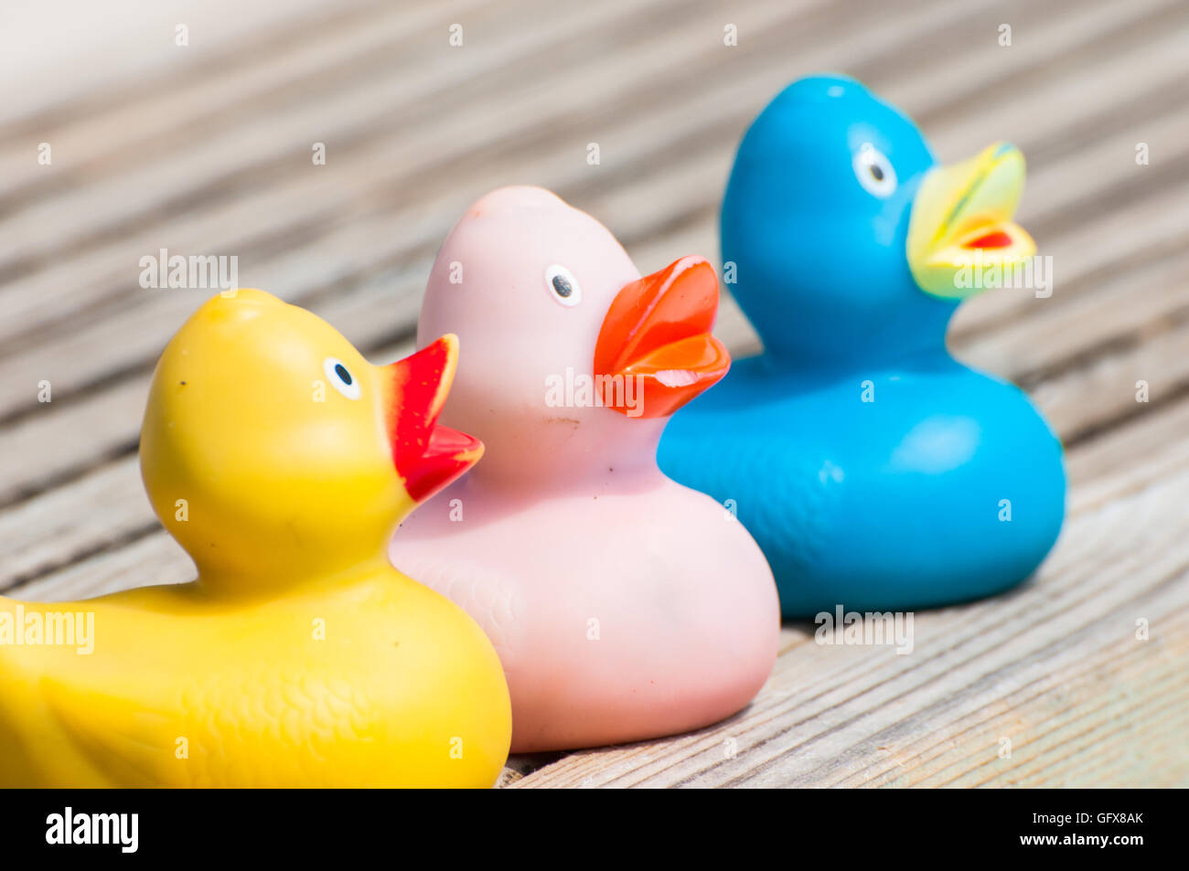 Plastic ducks in swimming pool hi-res stock photography and images - Alamy
