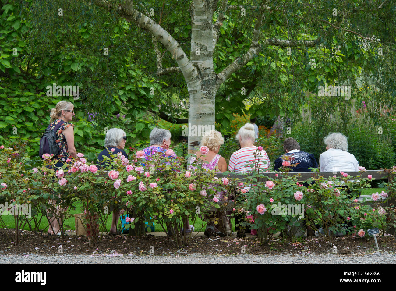 Bush women hi-res stock photography and images - Alamy