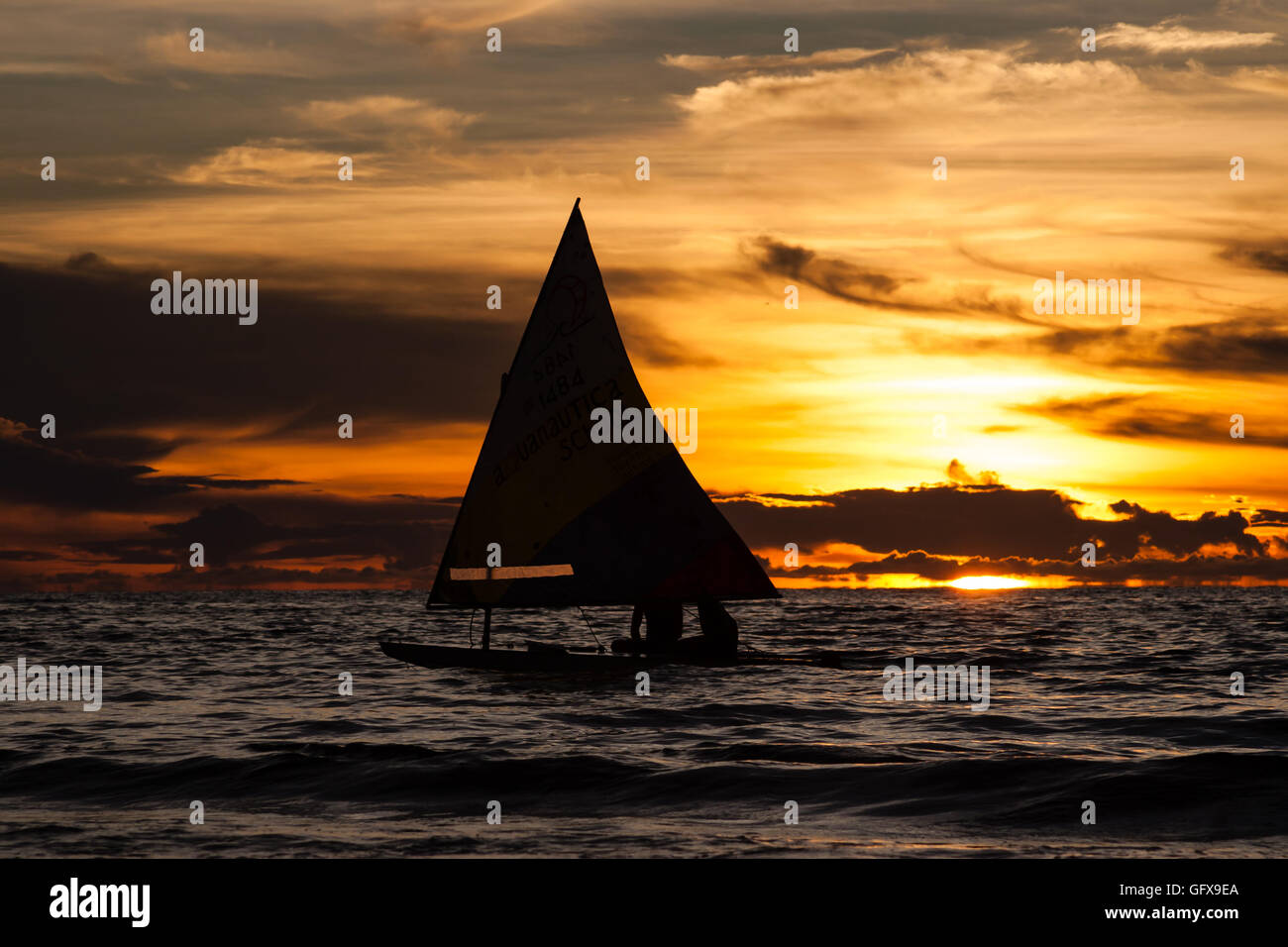Sunfish sailing at sunset Stock Photo - Alamy