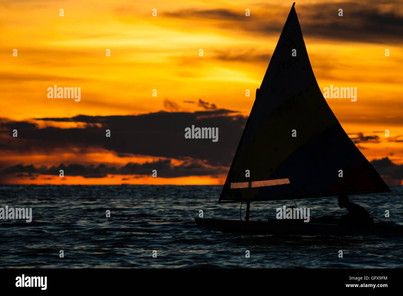 Sunfish sailing at sunset Stock Photo - Alamy