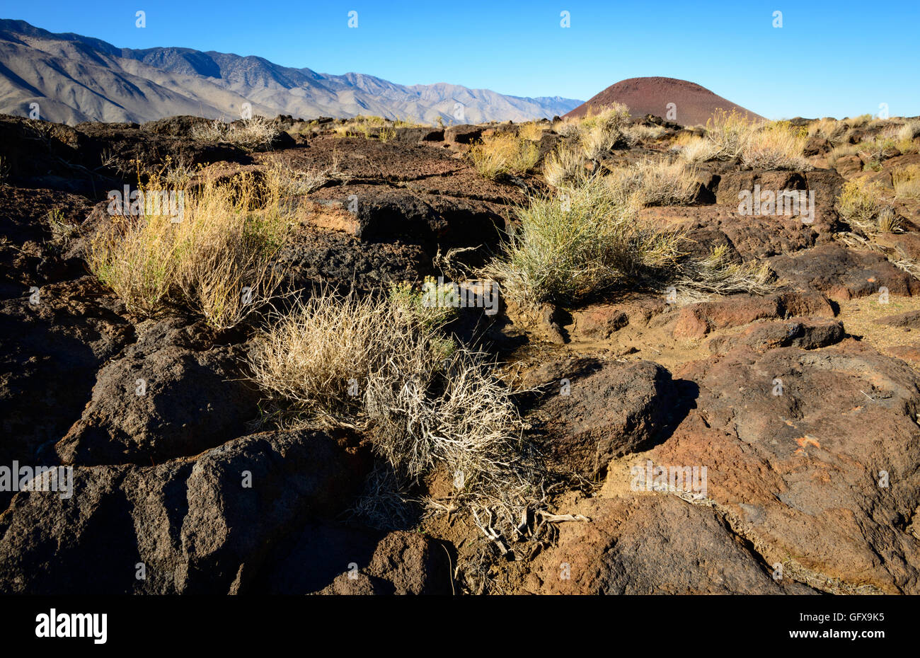 Red Hill cinder cone Stock Photo - Alamy