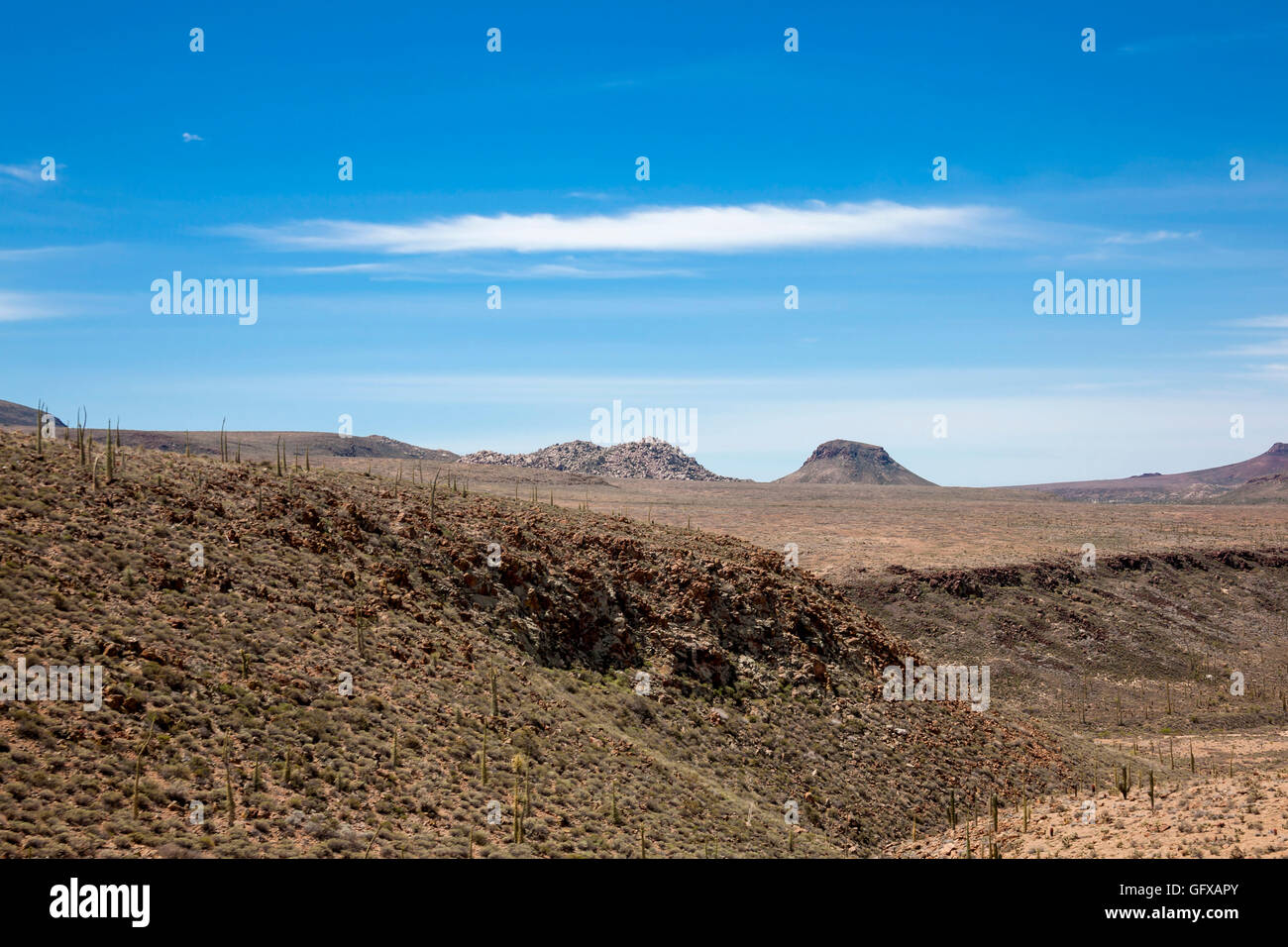 Baja california desert hi-res stock photography and images - Alamy