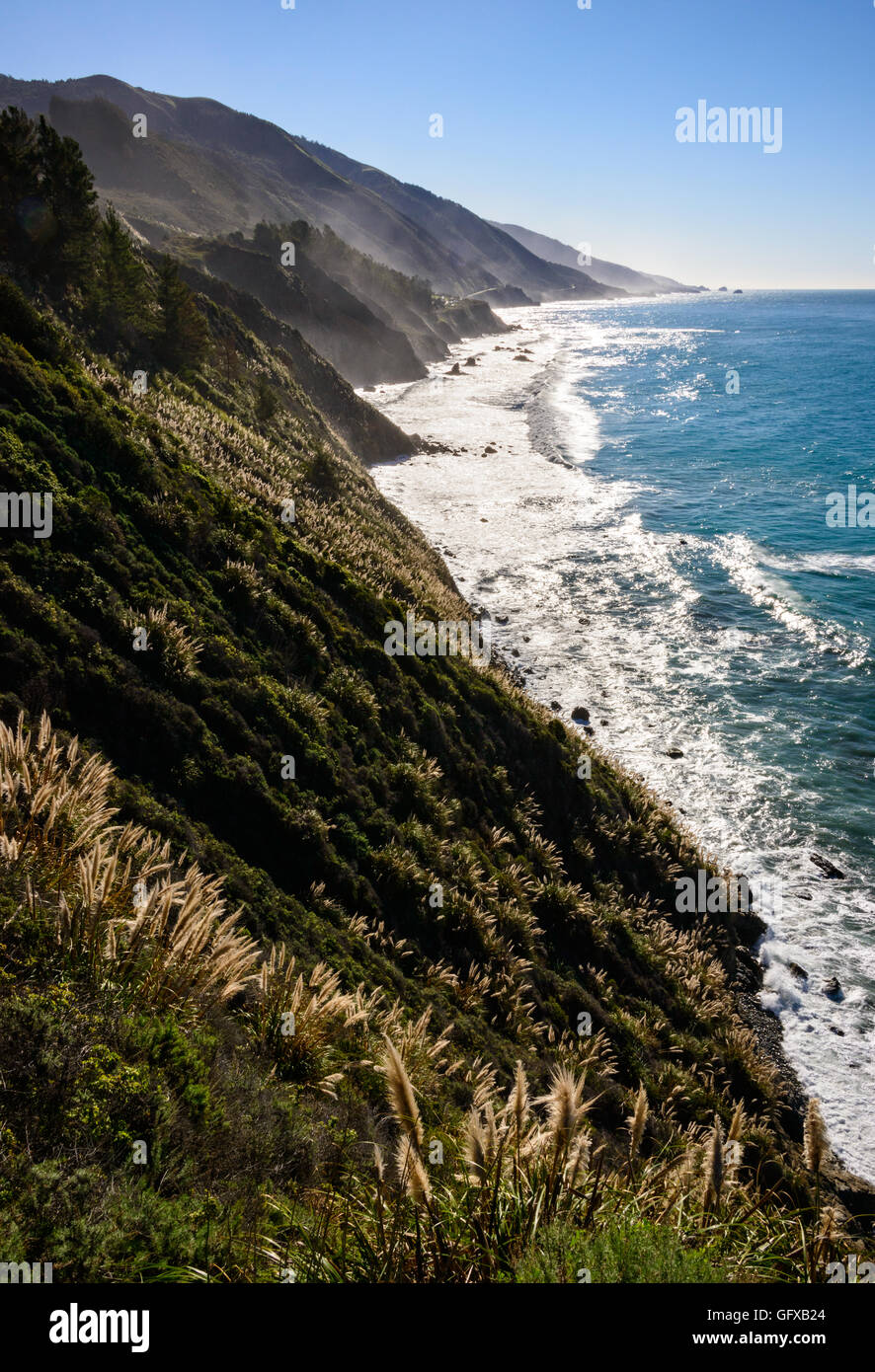 Big sur nature hi-res stock photography and images - Alamy