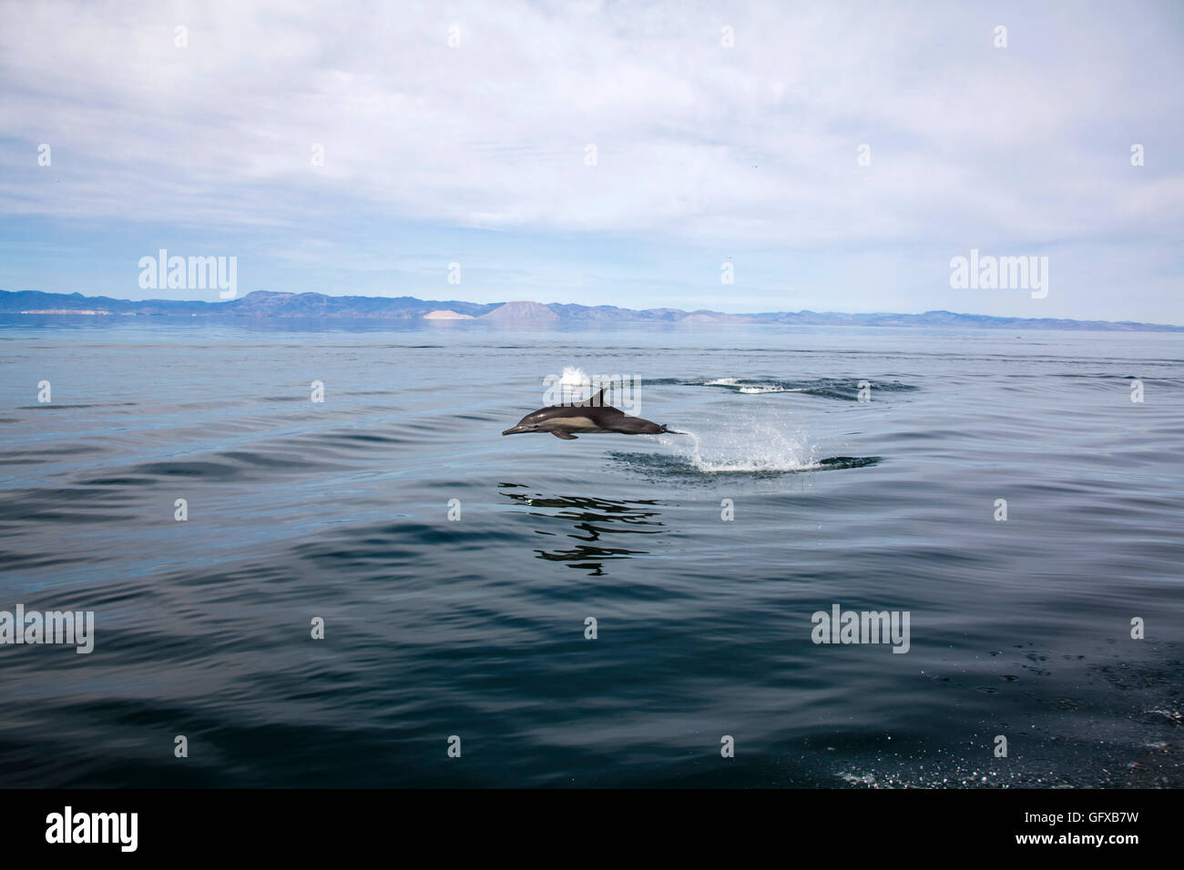 Mexico cortes mar hi-res stock photography and images - Alamy