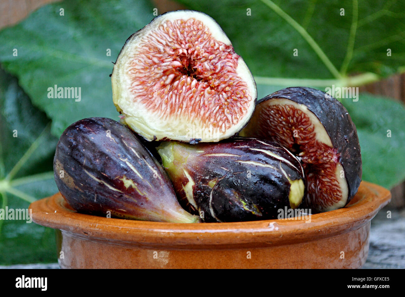 fresh sweet red figs Stock Photo - Alamy
